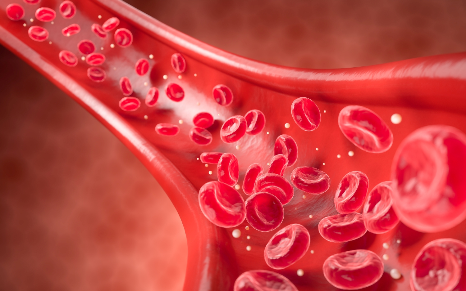 Quais são os sinais de microangiopatia? Entenda o problema