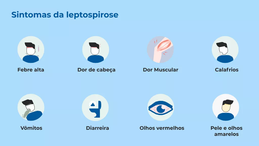 Leptospirose: Sintomas, Causas e Tratamentos