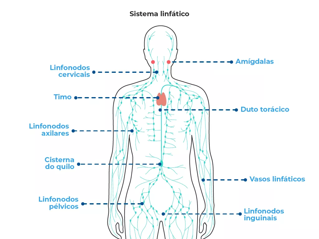 Linfoma de Hodgkin: Sintomas, Causas e Tratamentos