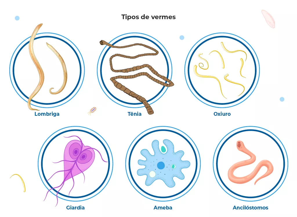 Vermes intestinais: Sintomas, Causas e Tratamentos